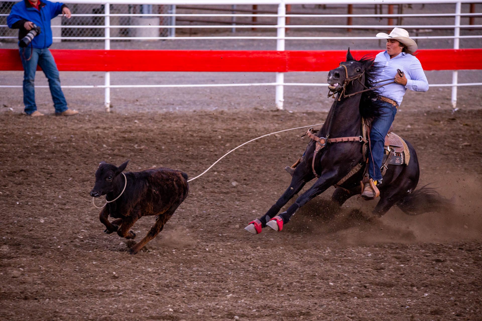 The Only Rodeo in Town